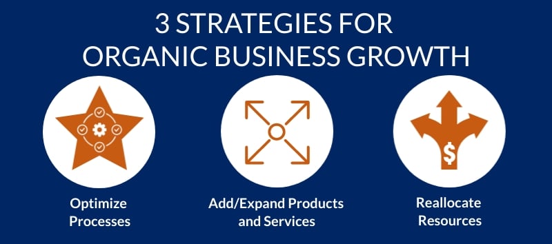 Business Resilience: Organic Business Growth –3 Strategies